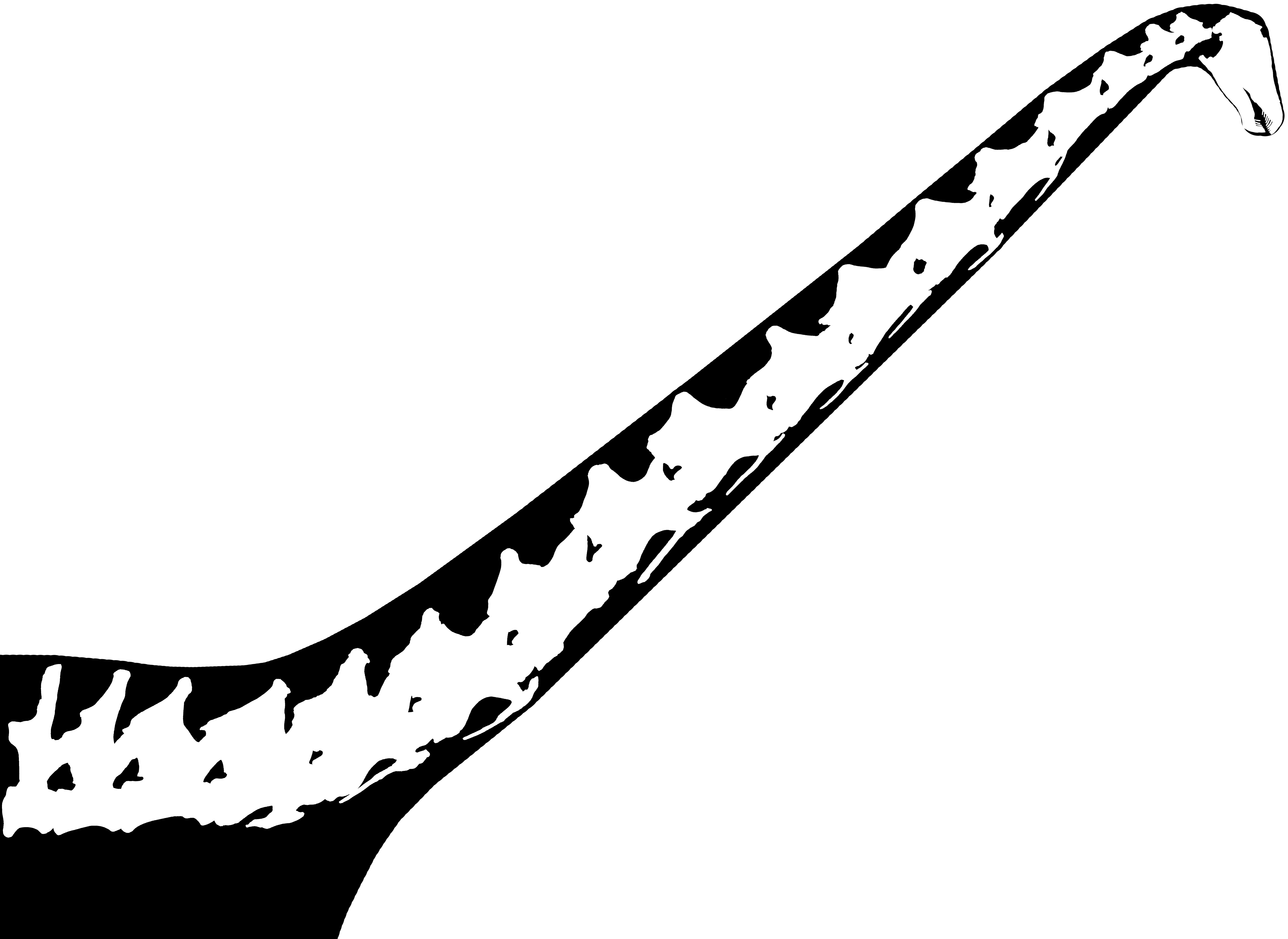 Mike Taylor - Sauropods held their necks erect